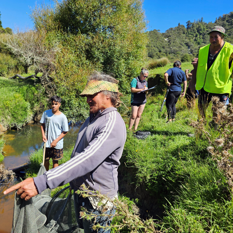 Mauri Compass: Urenui Awa | Te Rūnanga o Ngāti Mutunga